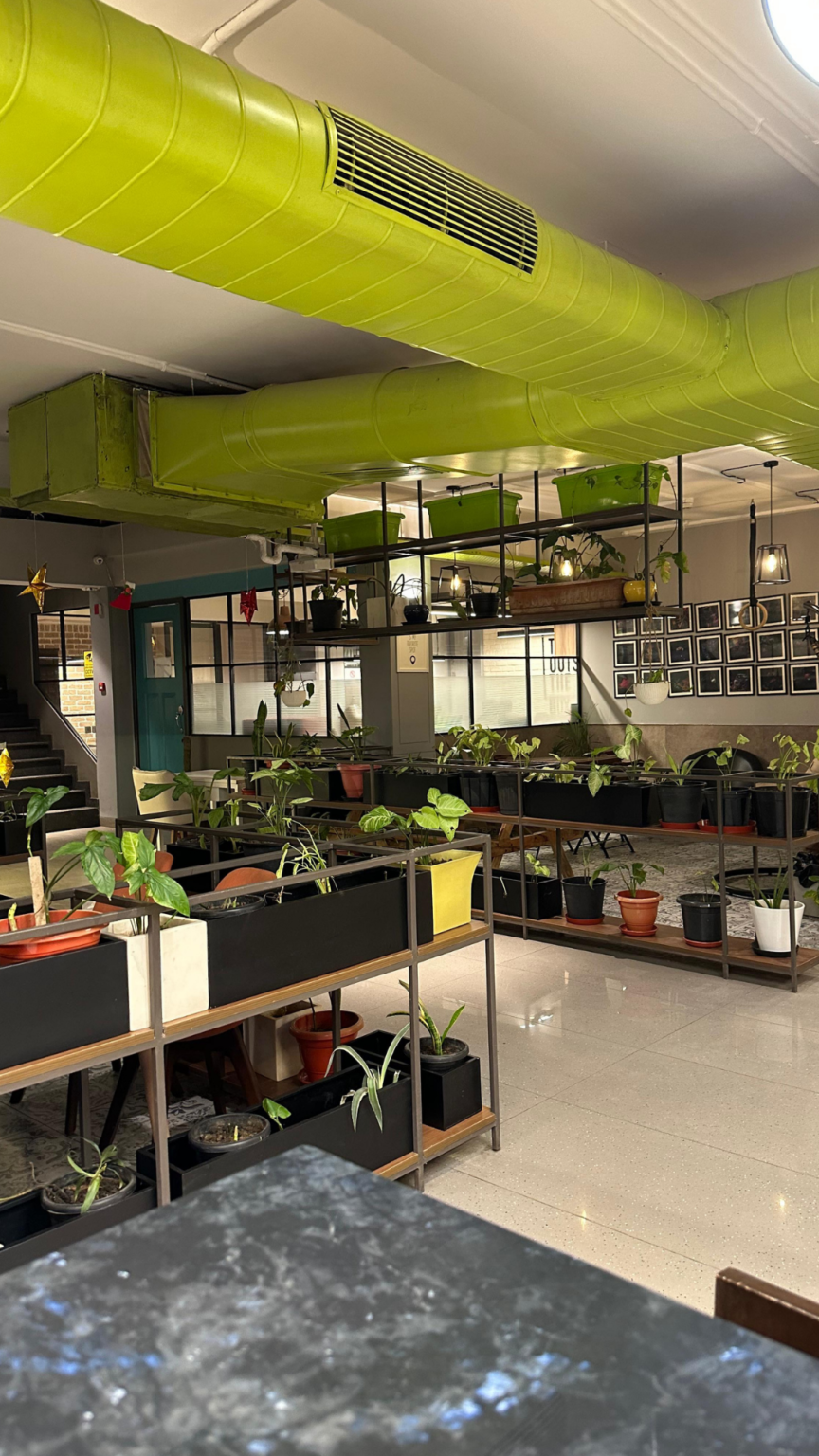 About - House Of Creators